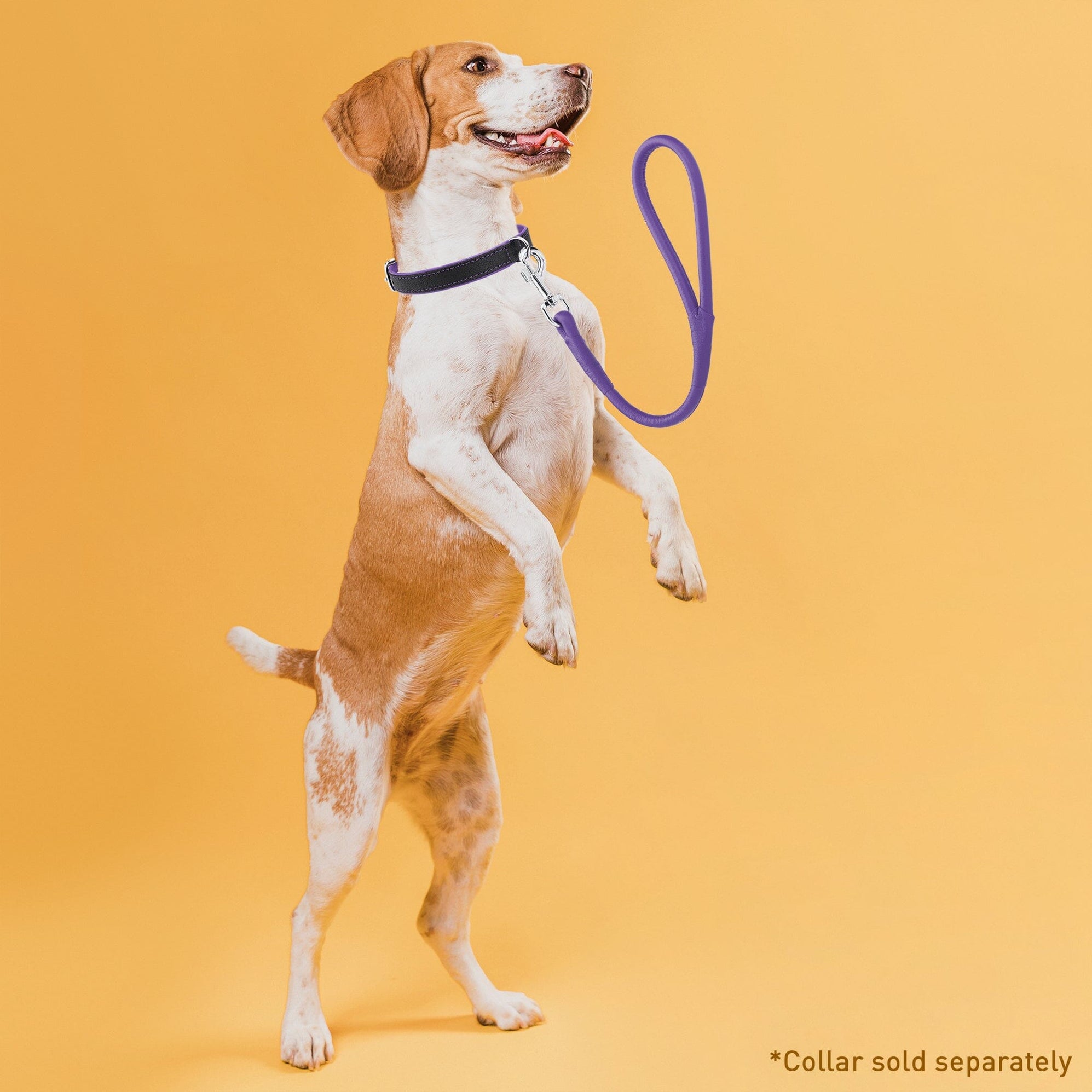 Soft Leather Round Traffic Lead — Dogline