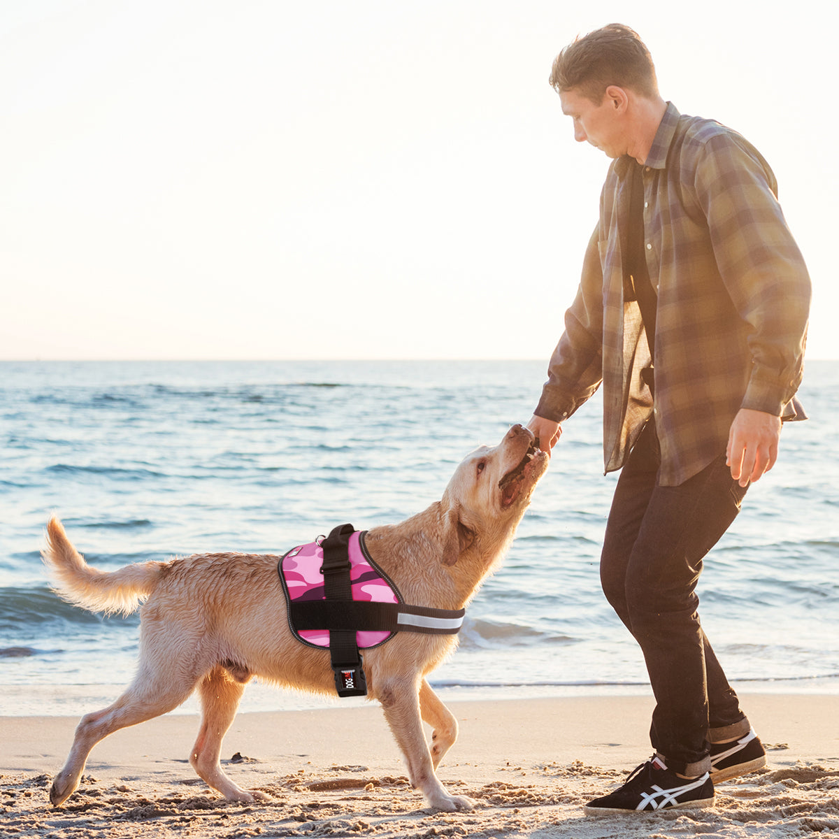 Biothane Waterproof Collar - X-Small (9 to 12 inches) — Dogline