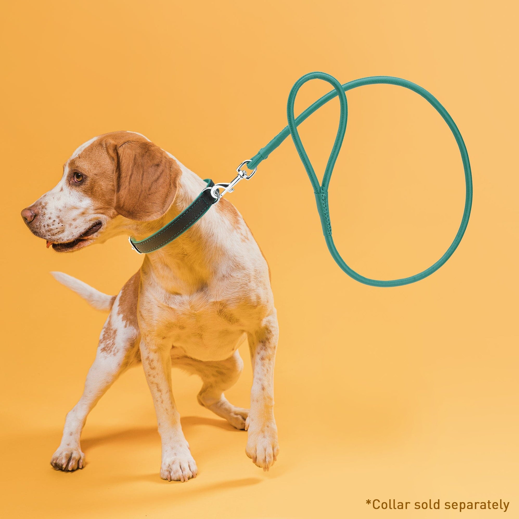 Soft Leather Round Dog Lead — Dogline