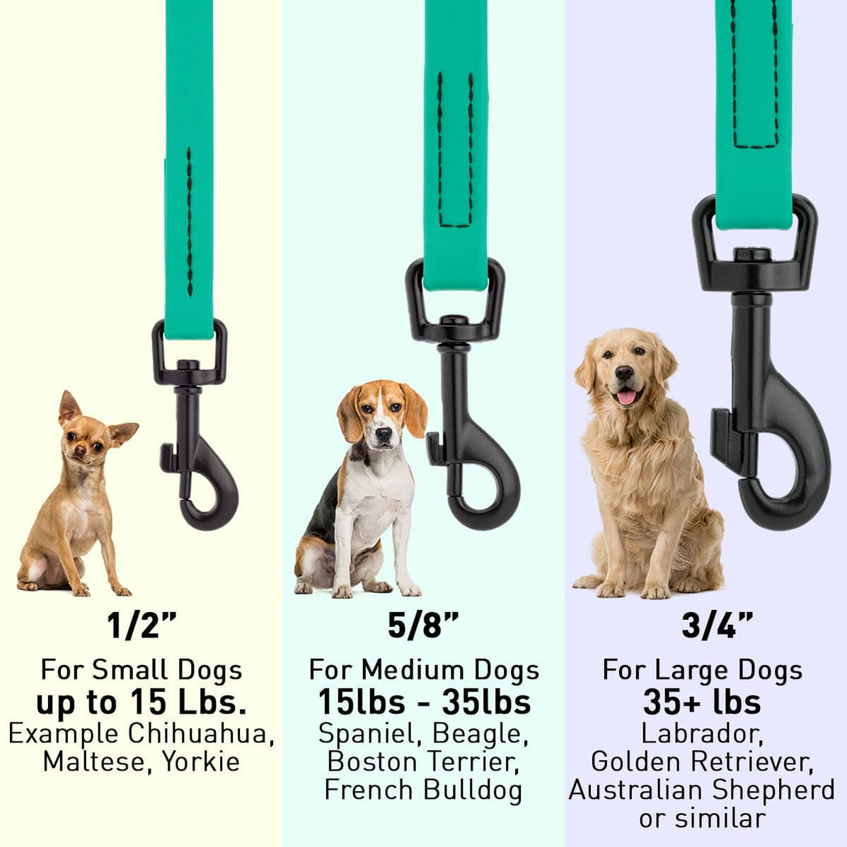 Biothane Waterproof Dog Leash 4 ft — Dogline