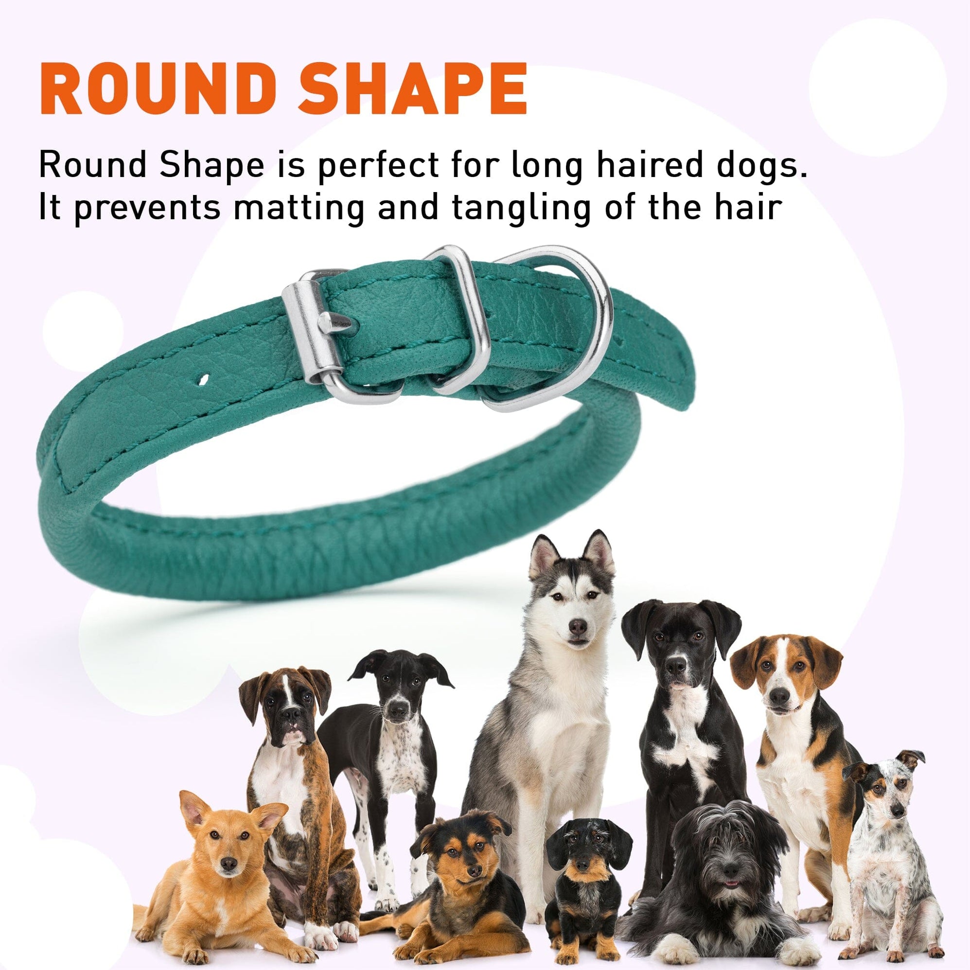 Soft Leather Round Dog Collar — Dogline