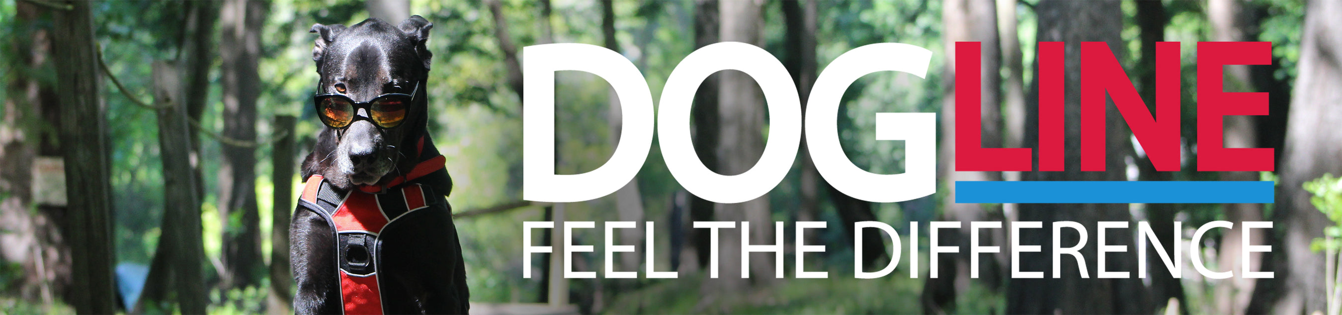 Feel the difference — Dogline