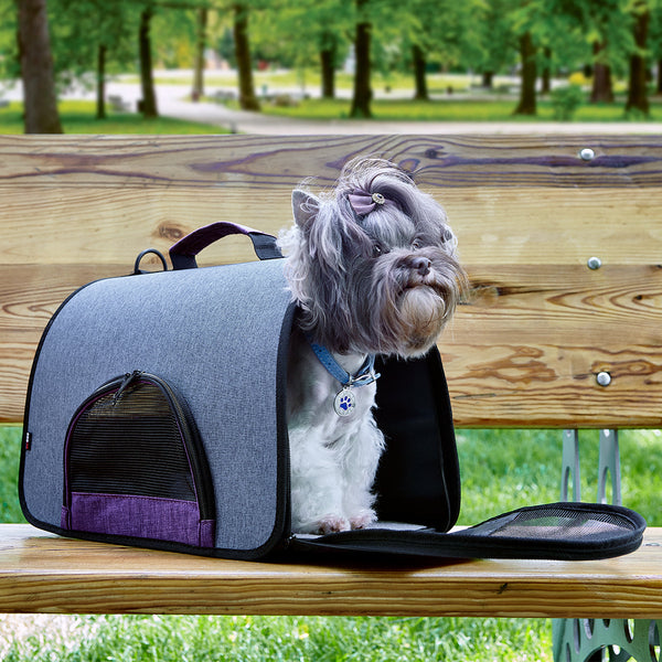 Dual Color Collapsible Pet Carrier — Dogline