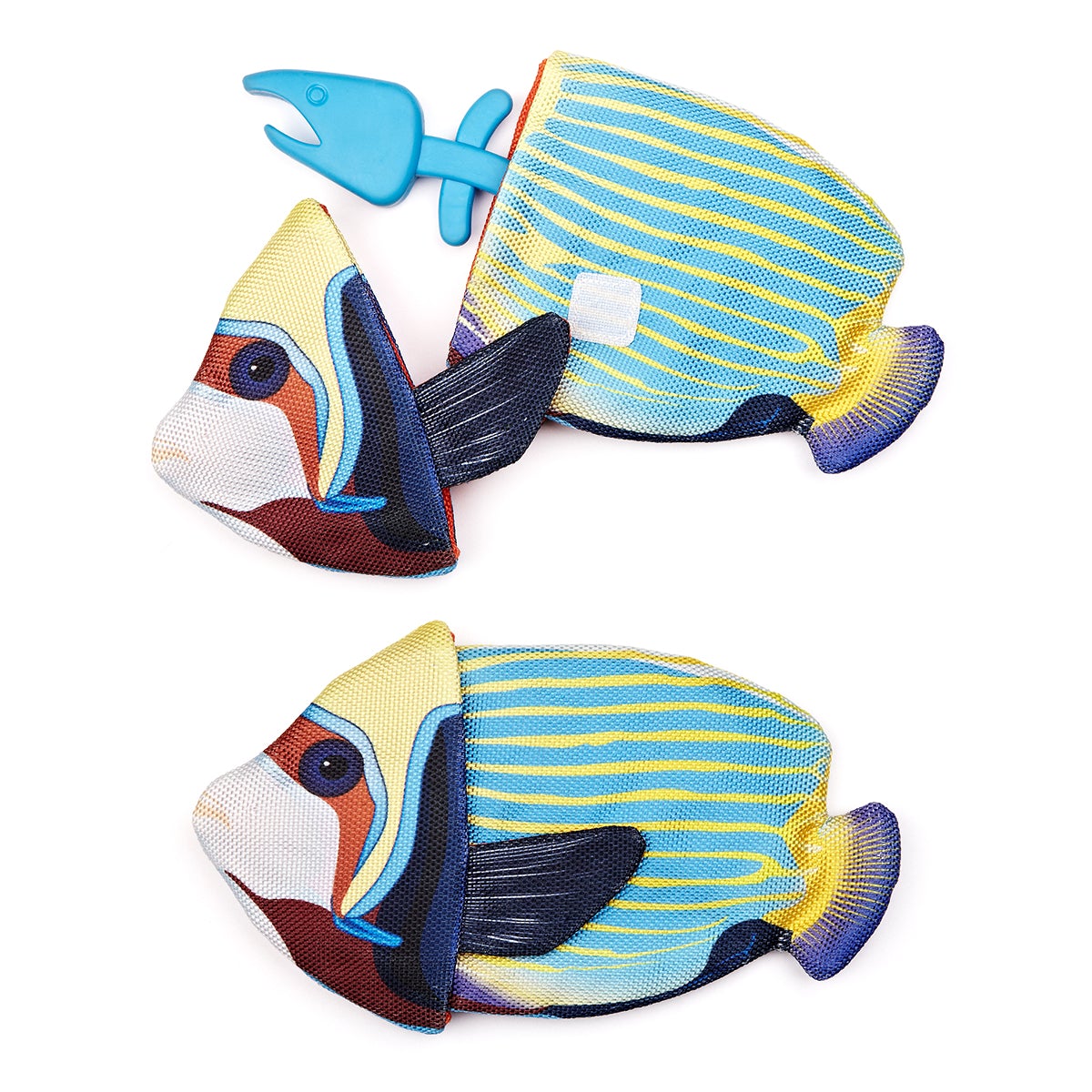 Tropical Crinkle + Bone Triggerfish — Dogline